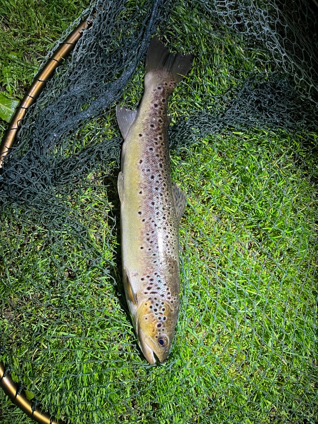 The Dollaghan of the Six Mile Water