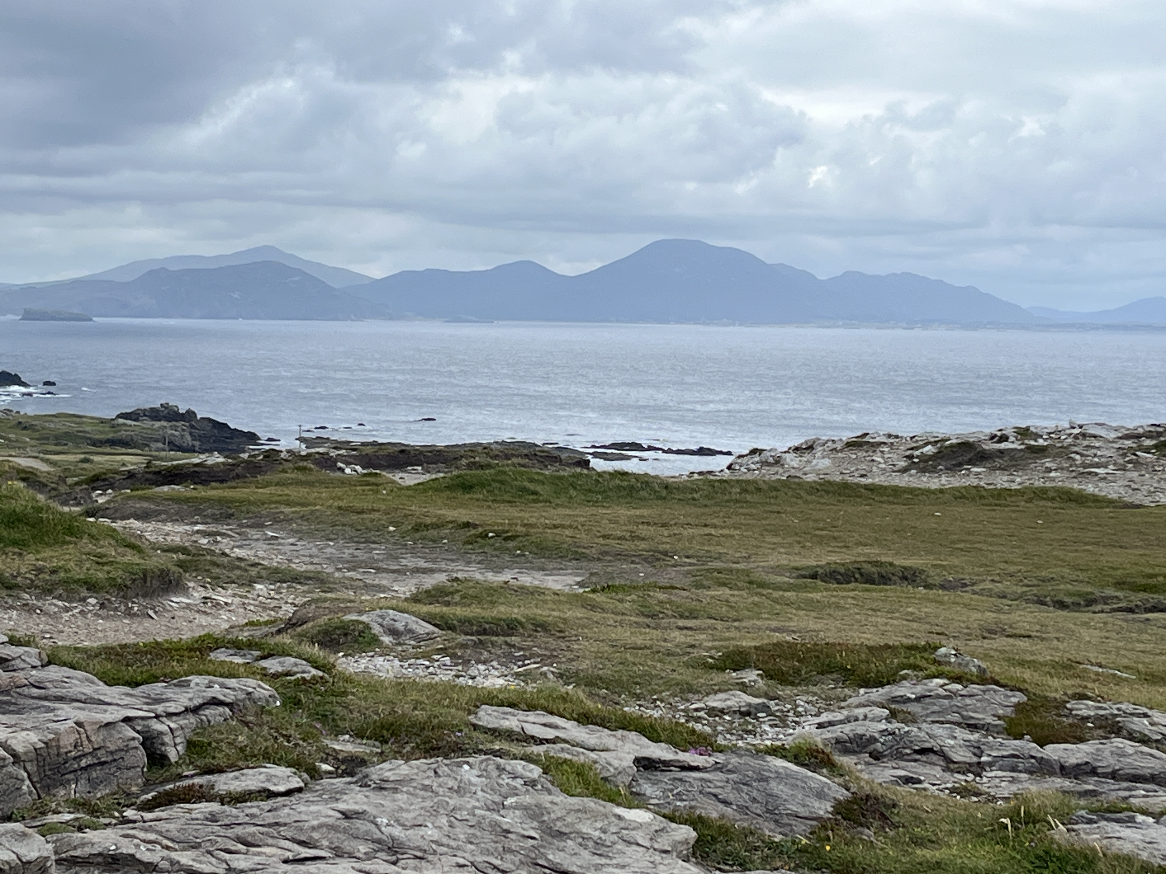 A plague among the ash trees