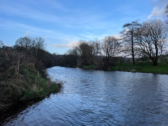 An intimate and tenuous connection